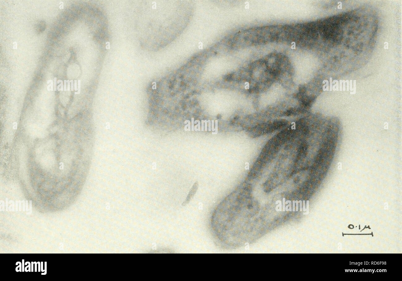 . Electron microscopy; proceedings of the Stockholm Conference ...