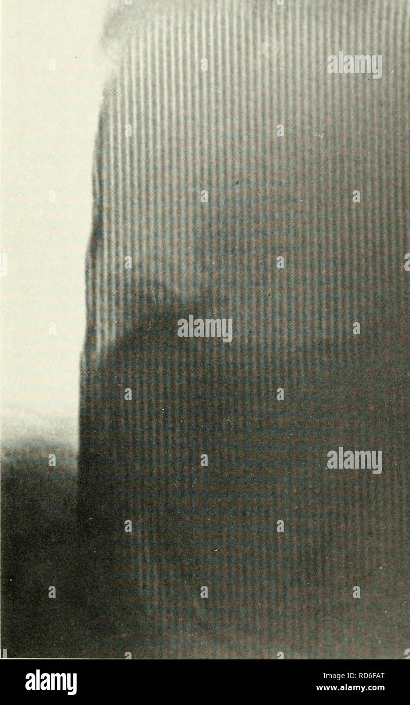 Simple lattice beam hi-res stock photography and images - Alamy