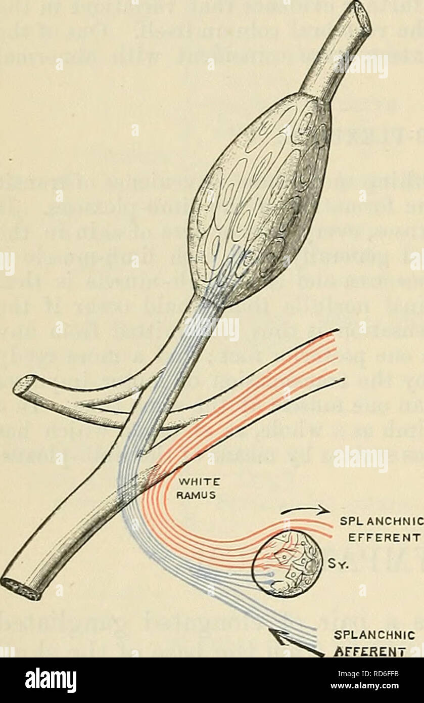 . Cunningham's Text-book of anatomy. Anatomy. 754 THE NEKVOUS SYSTEM ...