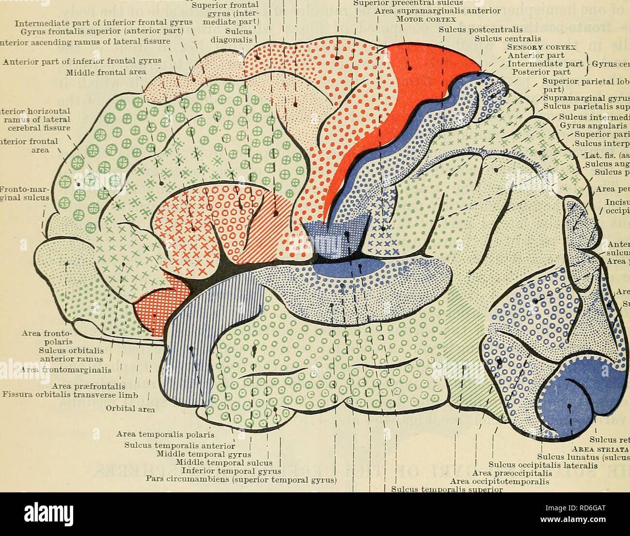 . Cunningham's Text-book of anatomy. Anatomy. 65-4 THE NERVOUS SYSTEM ...