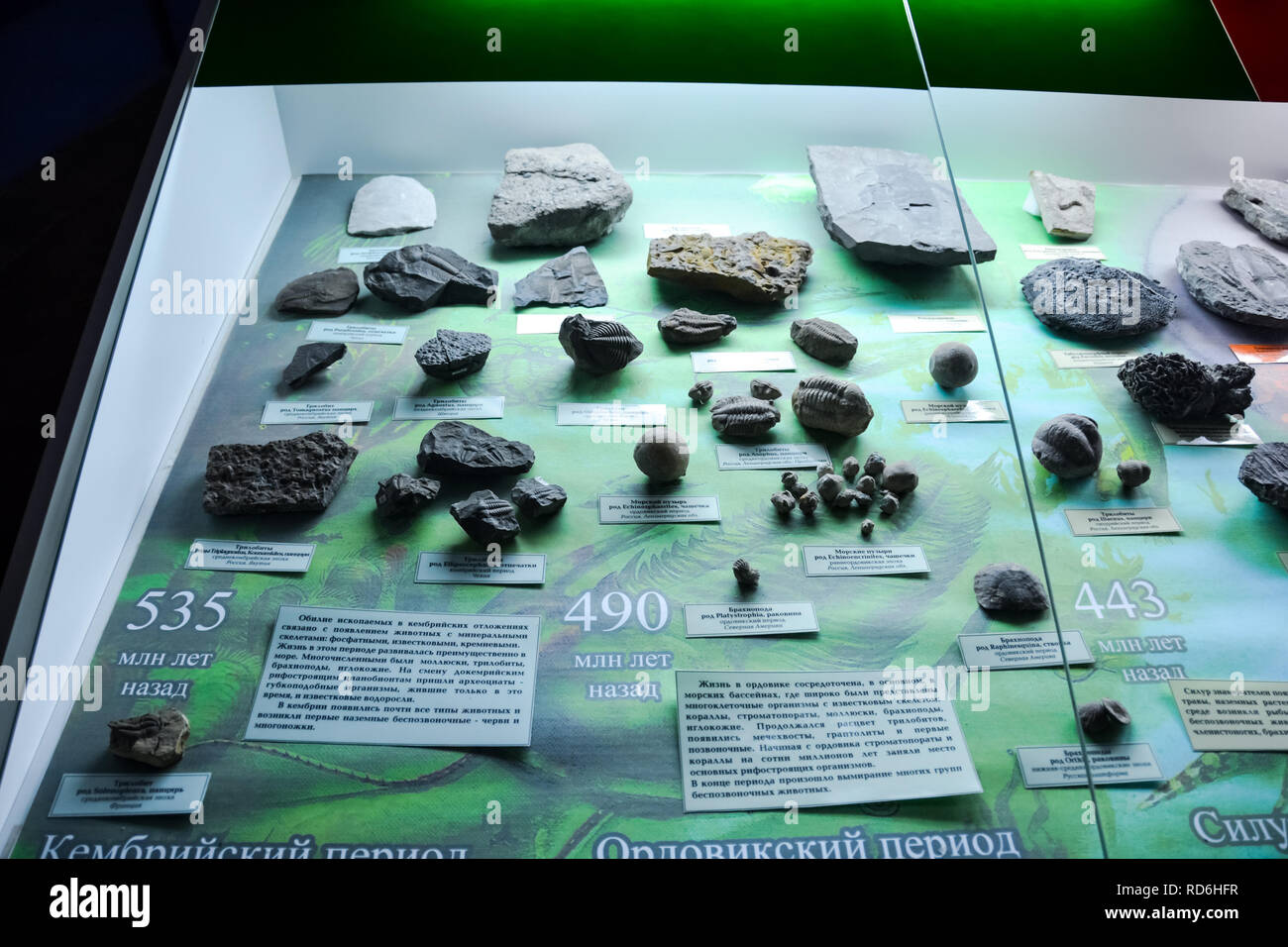 Geological Museum named after Vernadsky, Moscow, Russia - June 11, 2018 ...