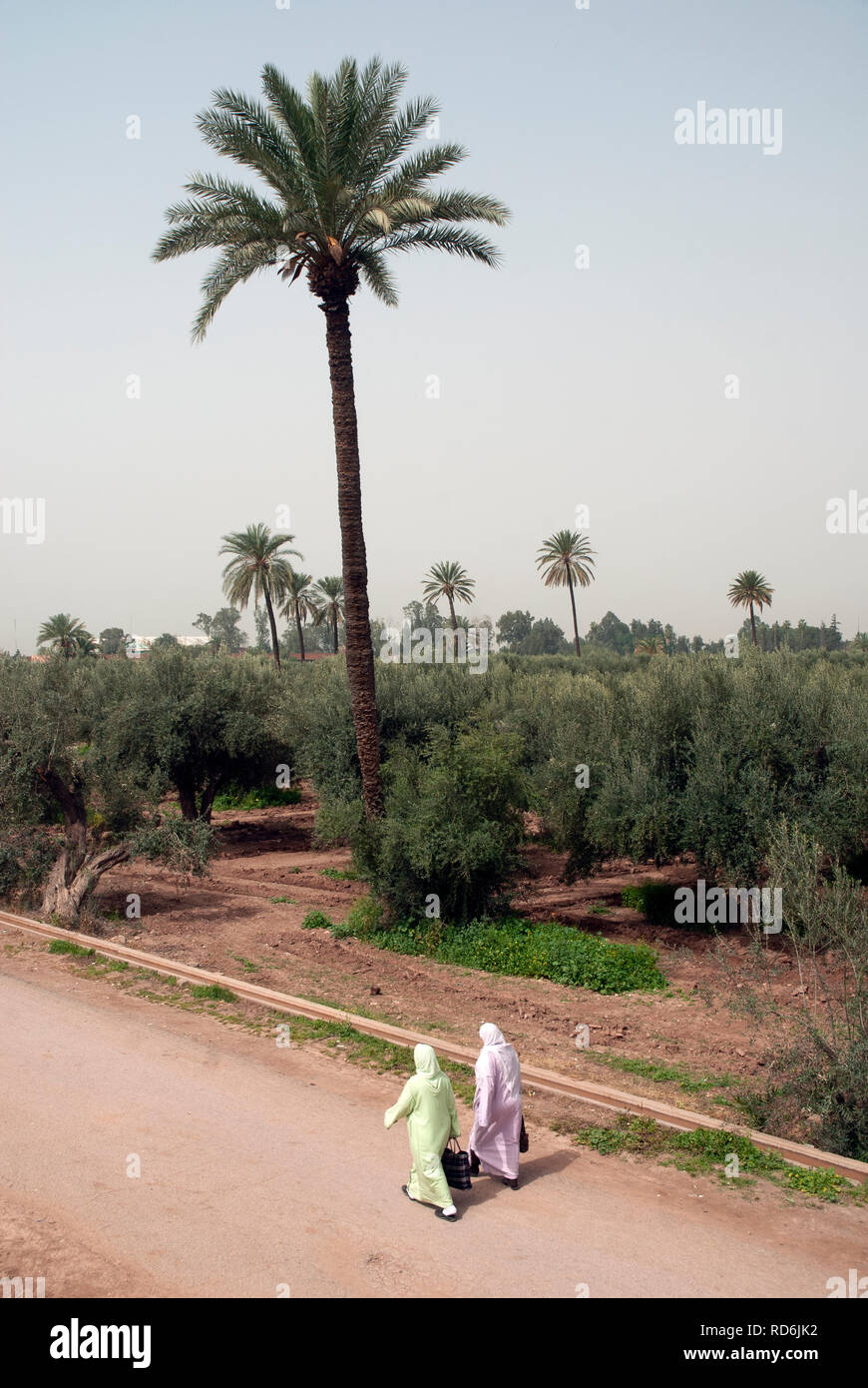 Les Jardin De La Menara or Menara Gardens, Marrakech, Morocco Stock ...