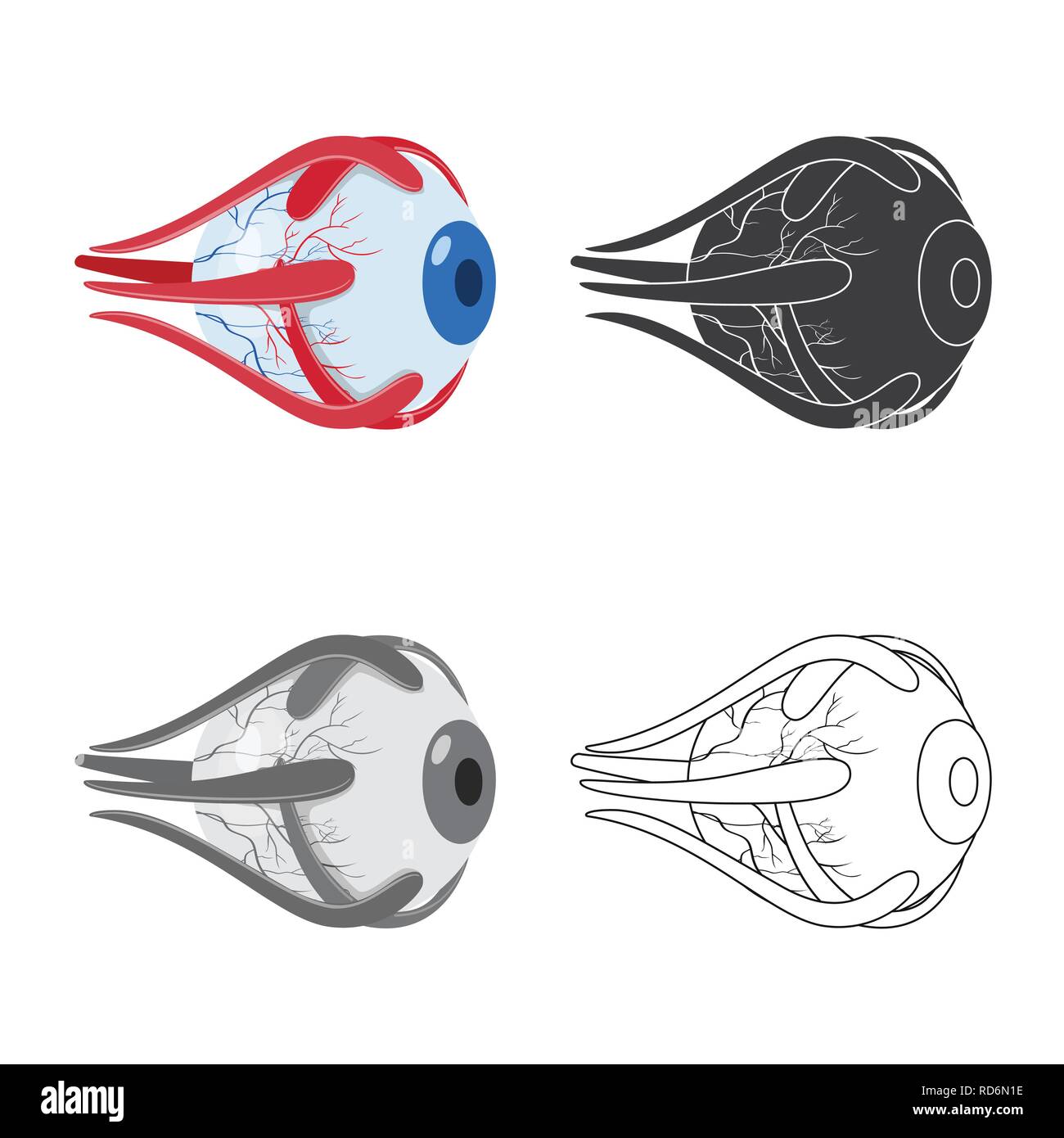 eyeball,eye,cornea,layers,structure,eyesight,protection,treatment ...