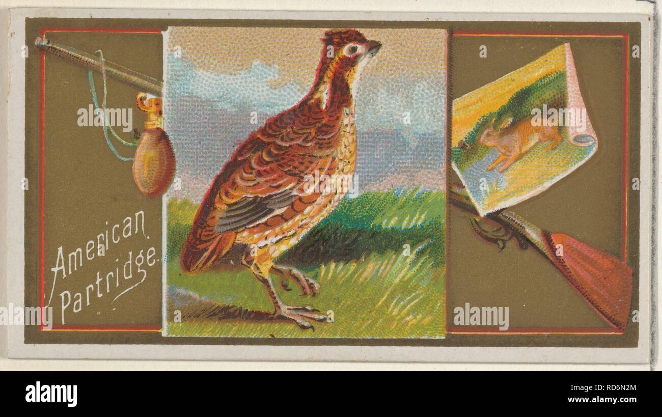 American Partridge, from the Game Birds series (N13) for Allen & Ginter ...