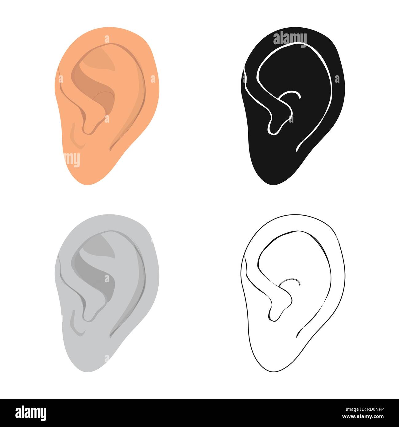 ear,hearing,ent,branch,listening,listen,cochlear,disease,otitis,tube ...