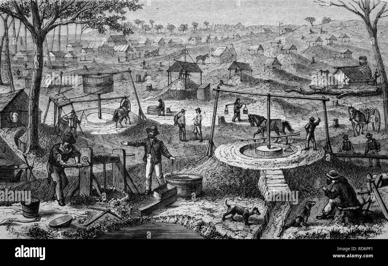 Gold mining in Australia, historical illustration, circa 1886 Stock ...
