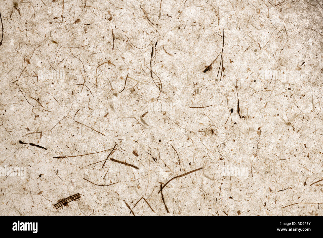 recycled abstract beautiful handmade transparent paper with nature ...