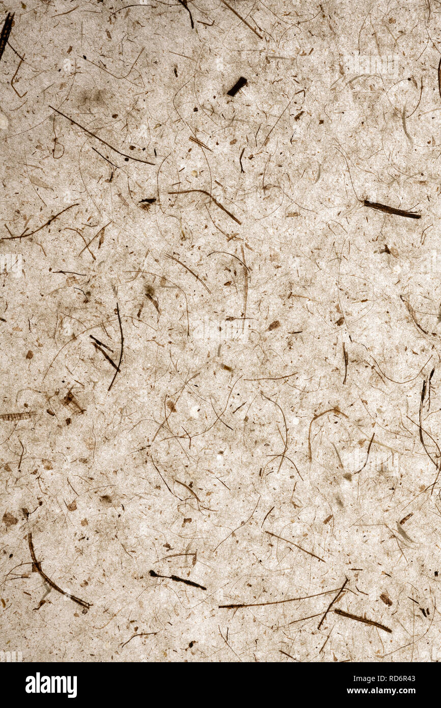 Transparency Paper Crafts