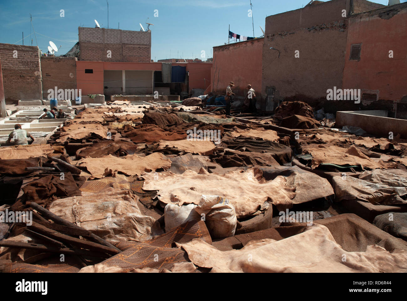 A general view of a traditional tannery in Marrakech, Morocco Stock ...