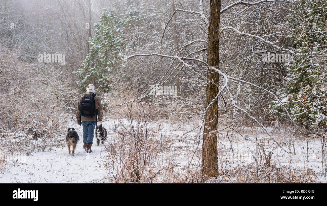 Early Winter Hiking In The Fog Stock Photo - Alamy