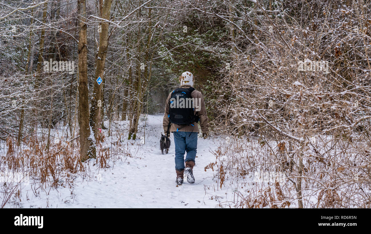 Early Winter Hiking In The Fog Stock Photo - Alamy
