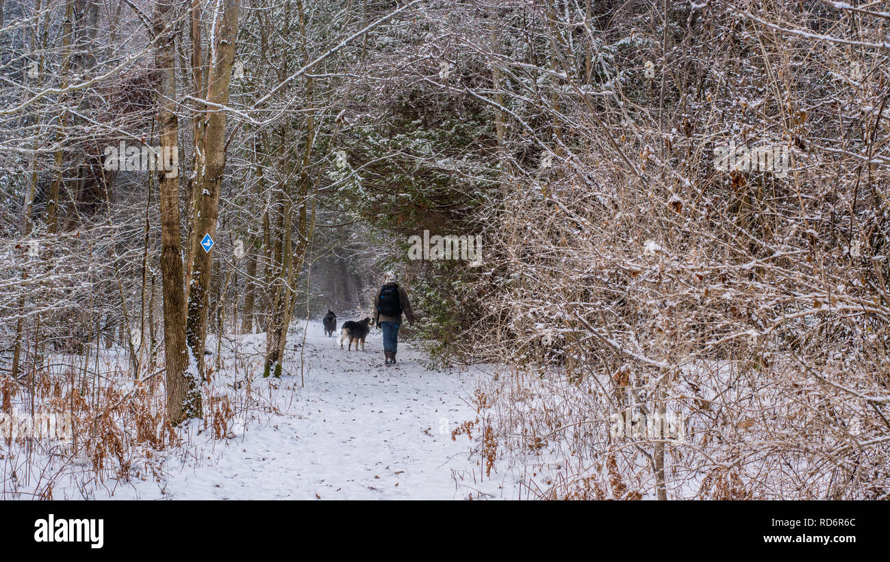 Early Winter Hiking In The Fog Stock Photo - Alamy