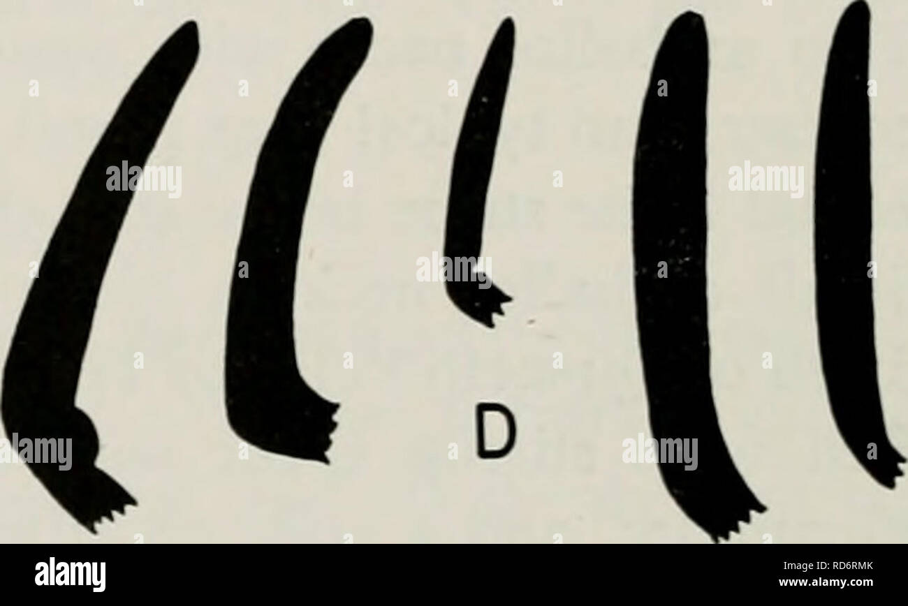 Base 4 x 4 x 0 5 cm hi-res stock photography and images - Alamy