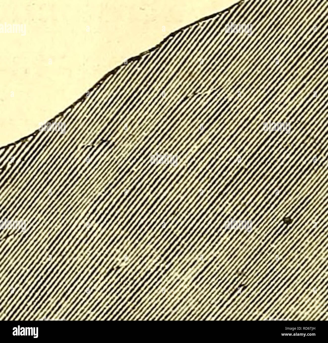 Ten slanting hi-res stock photography and images - Alamy