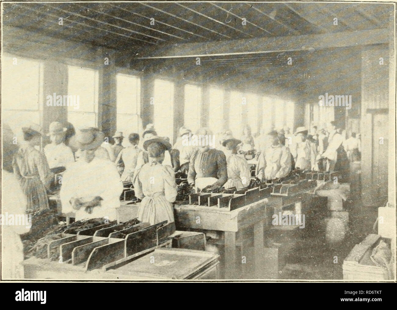 Tobacco curing house hi-res stock photography and images - Alamy