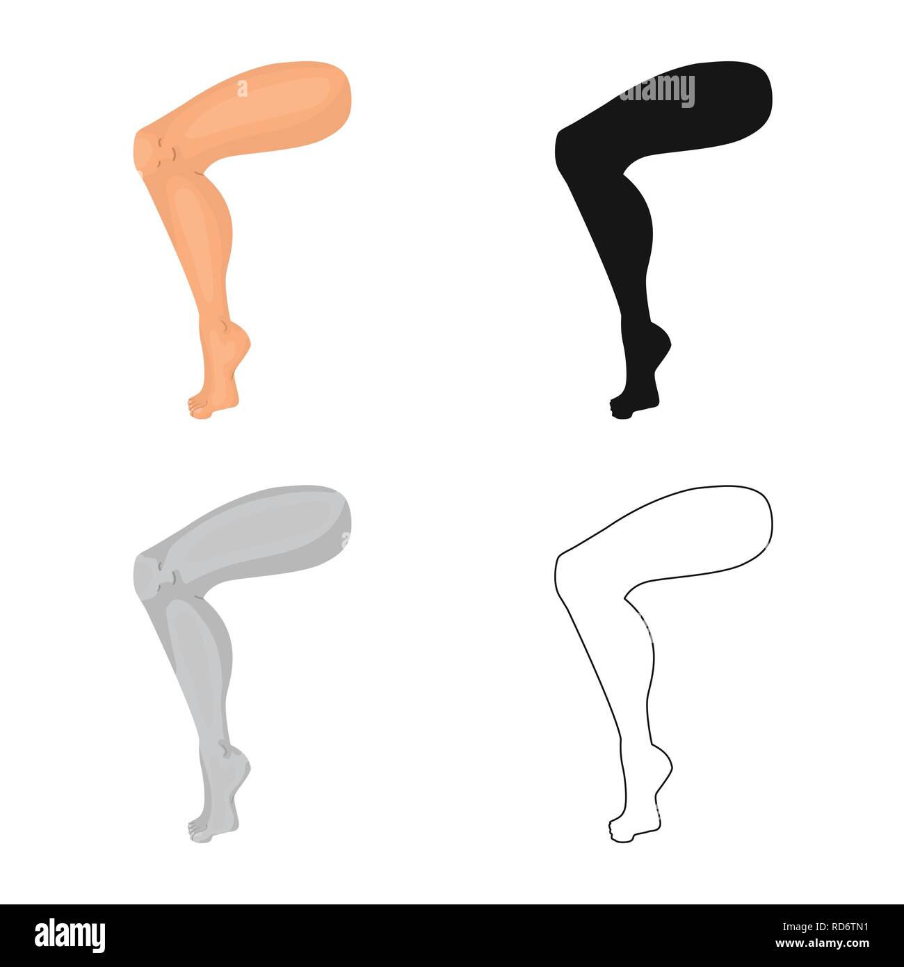 Isolated object of body and part symbol. Set of body and anatomy stock ...