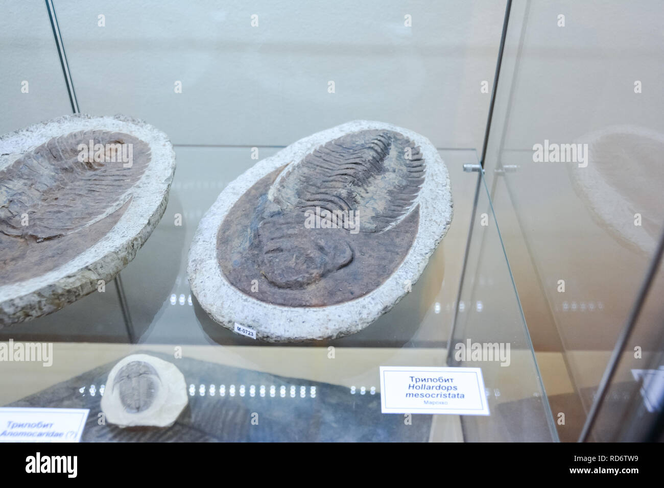 Geological Museum named after Vernadsky, Moscow, Russia - June 11, 2018 ...