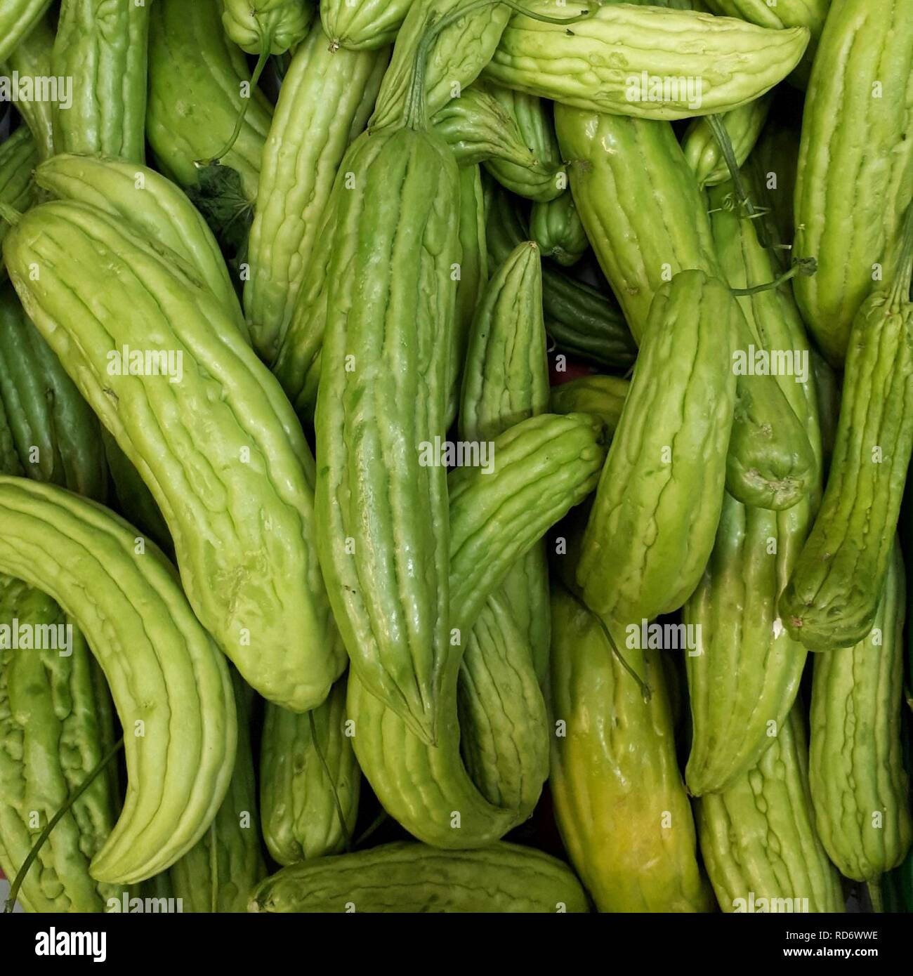 Ampalaya hi-res stock photography and images - Alamy