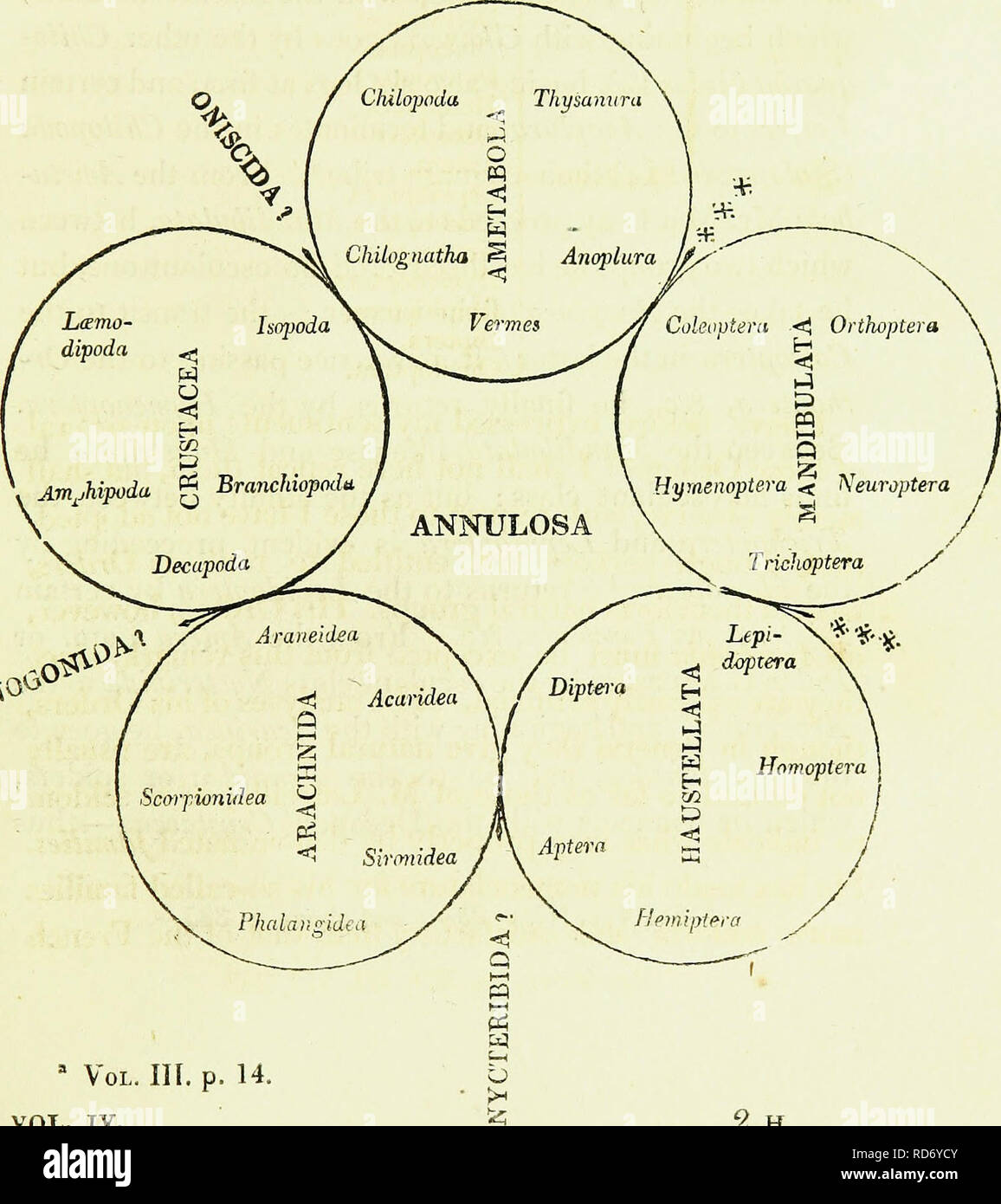 Quinary system hi-res stock photography and images - Alamy