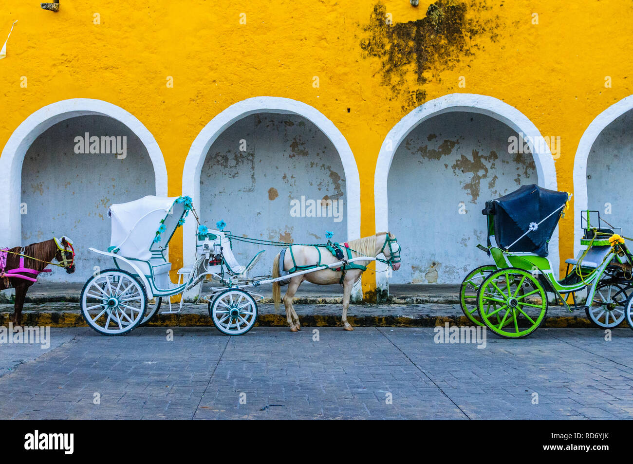 Magico horse hi-res stock photography and images - Alamy