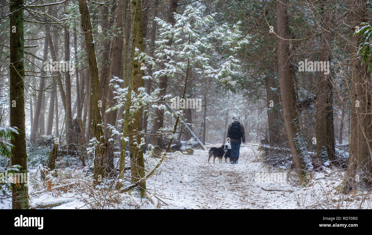 Early Winter Hiking In The Fog Stock Photo - Alamy