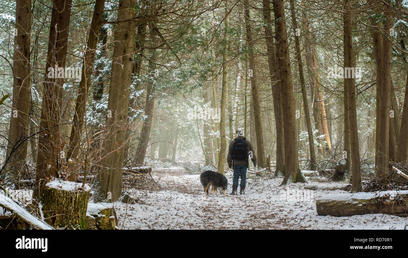 Early Winter Hiking In The Fog Stock Photo - Alamy