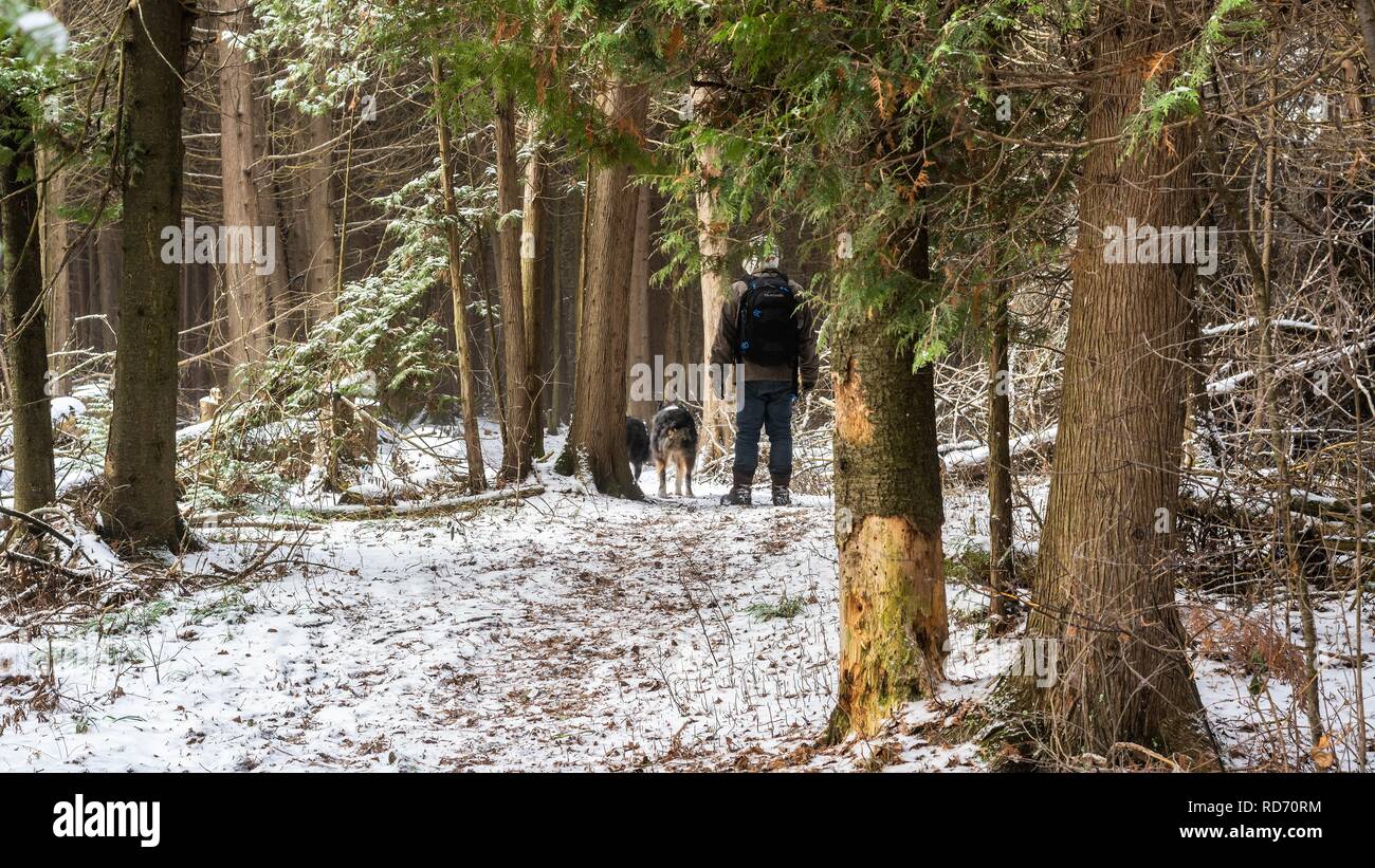 Early Winter Hiking In The Fog Stock Photo - Alamy