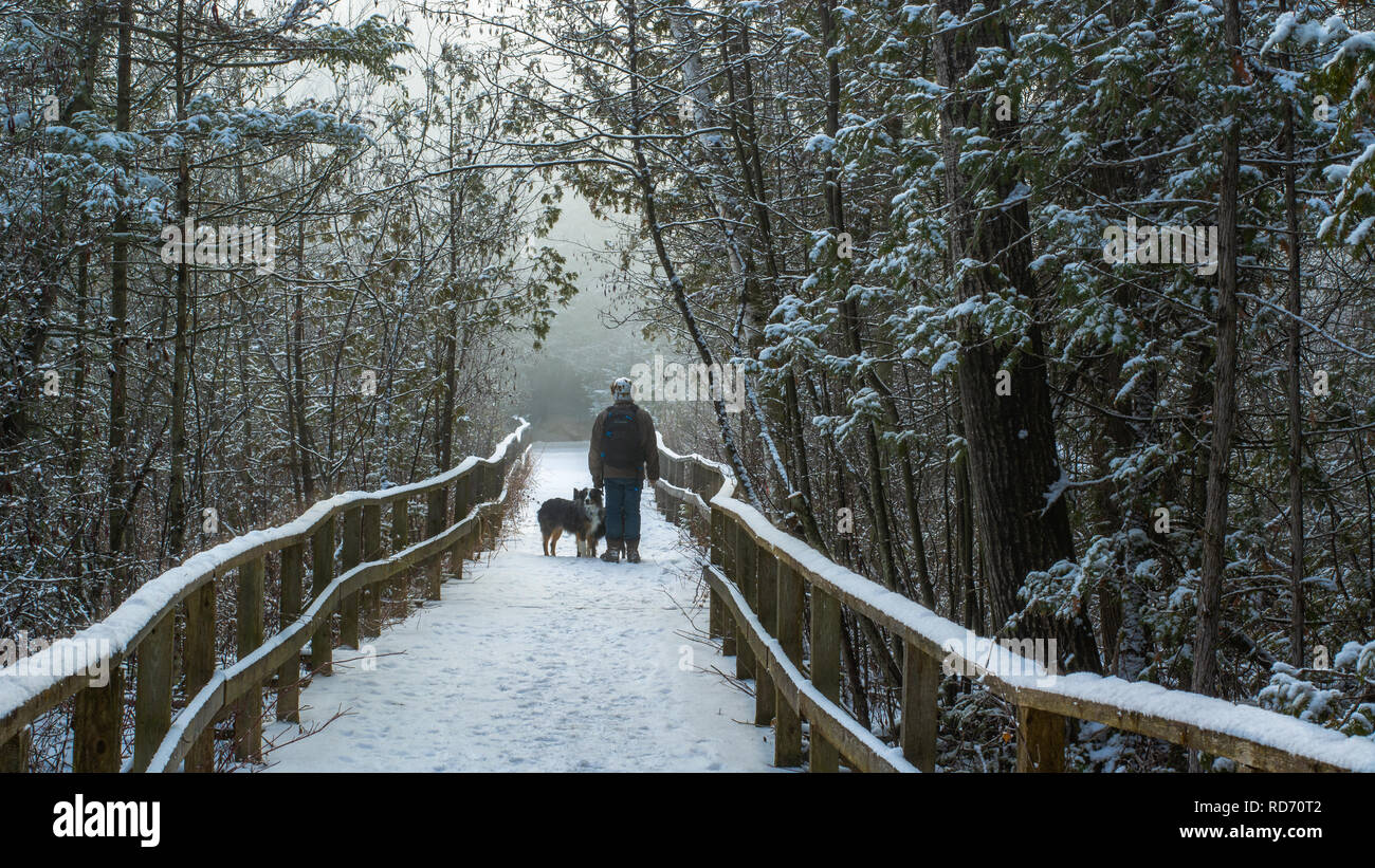 Early Winter Hiking In The Fog Stock Photo - Alamy