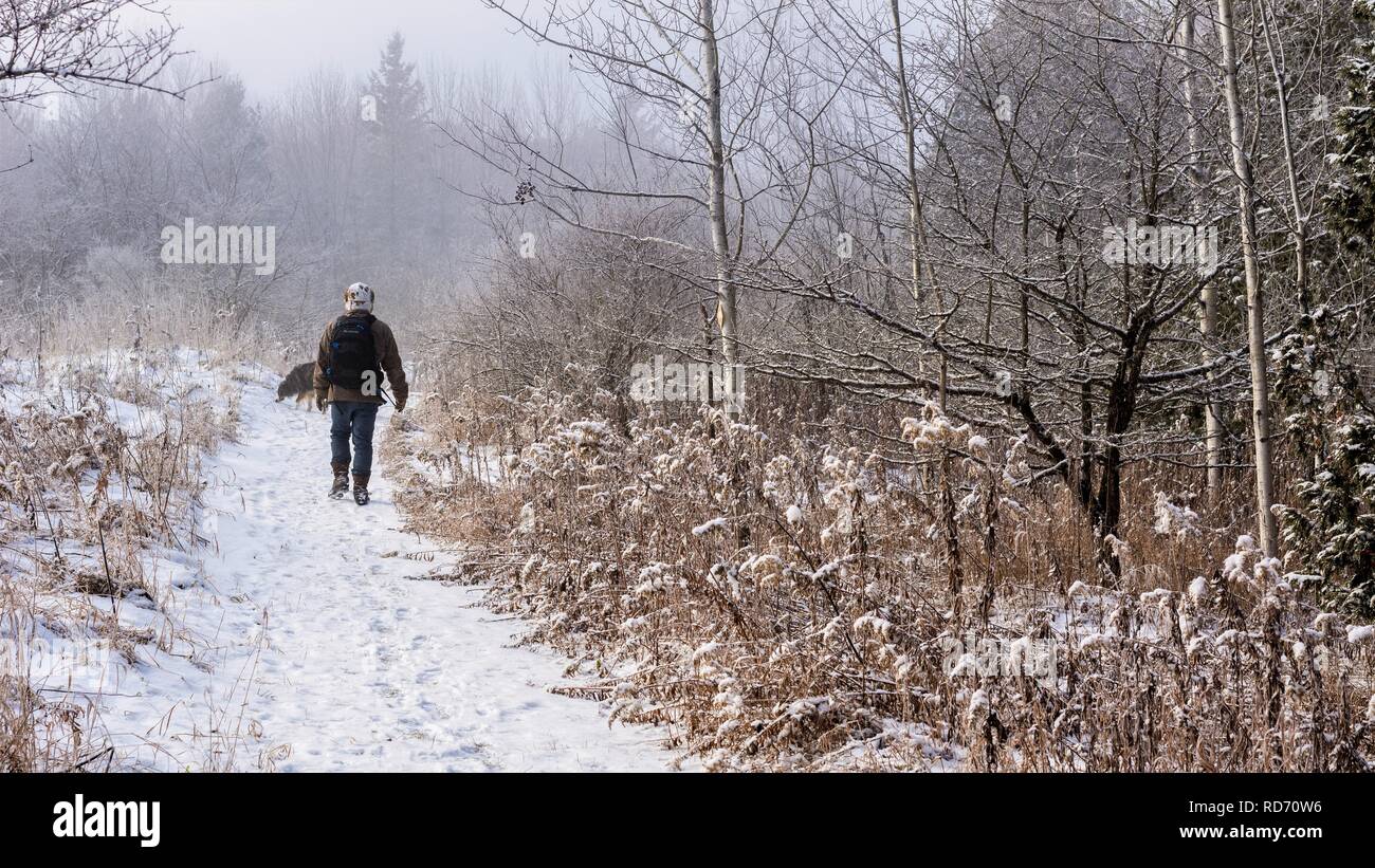 Early Winter Hiking In The Fog Stock Photo - Alamy