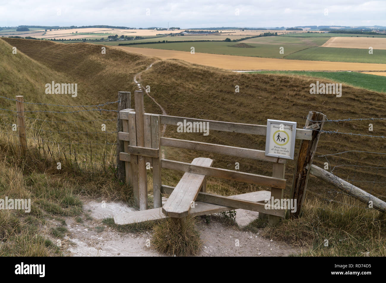 Typical english country stile with dog gate leading to meadow Maiden ...