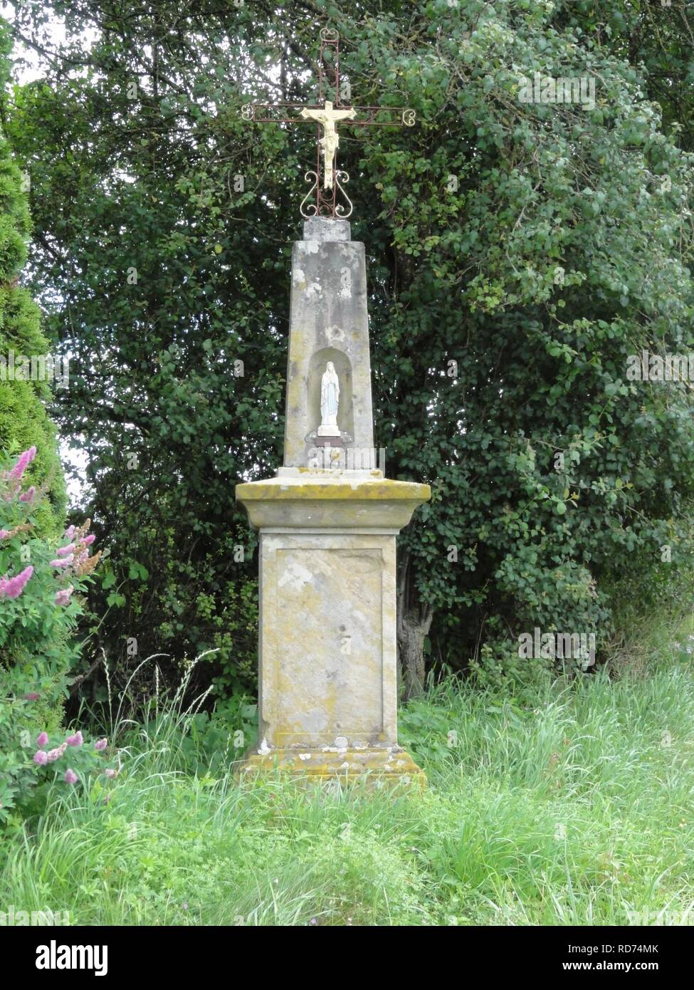 Digney hi-res stock photography and images - Alamy