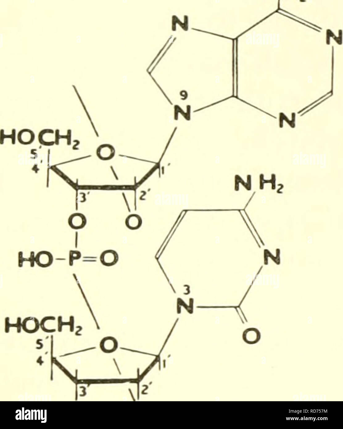 Periodate hi-res stock photography and images - Alamy