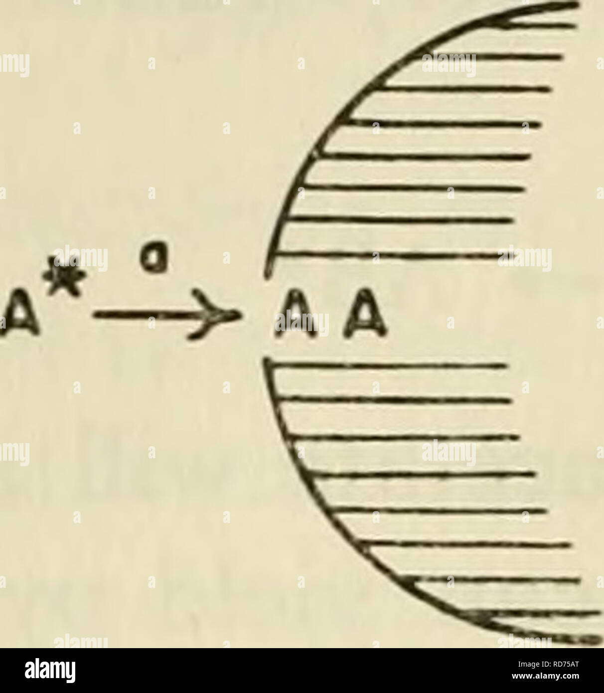 . Currents in biochemical research, 1956; twenty-seven essays charting ...