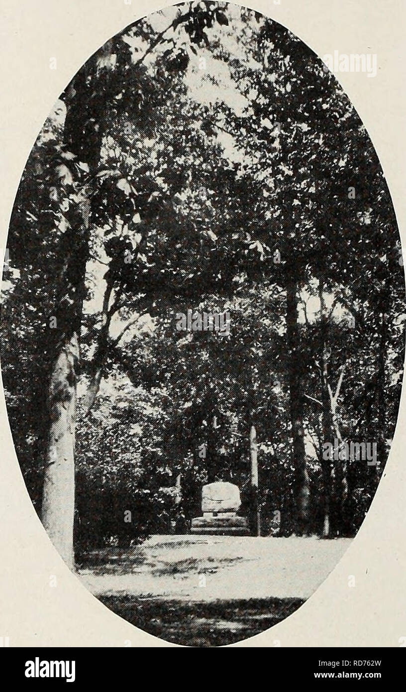 . Curios and relics. Plants. Lincoln, Abraham, 1809-1865; Thatcher ...