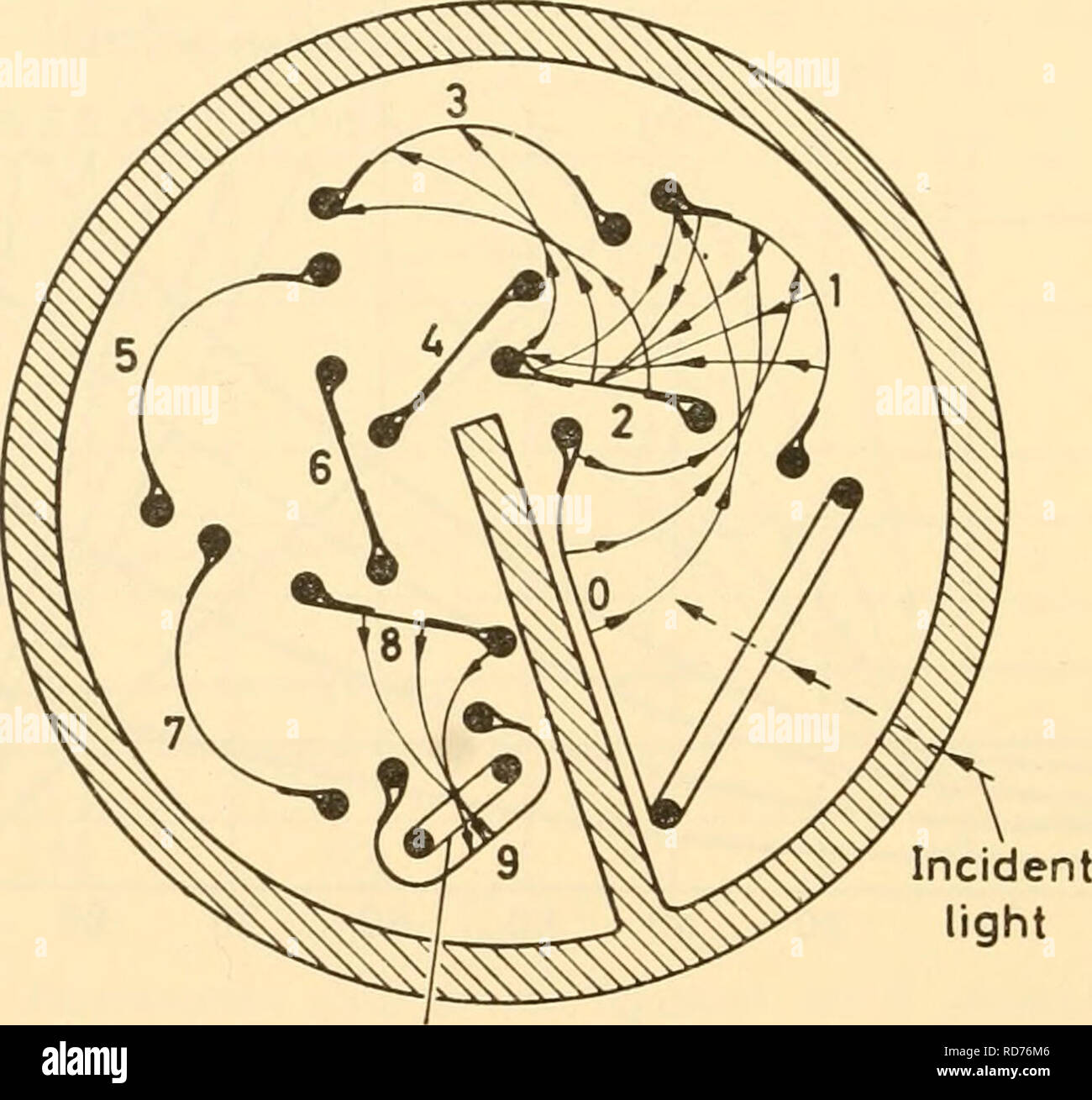 Dynodes hi-res stock photography and images - Alamy