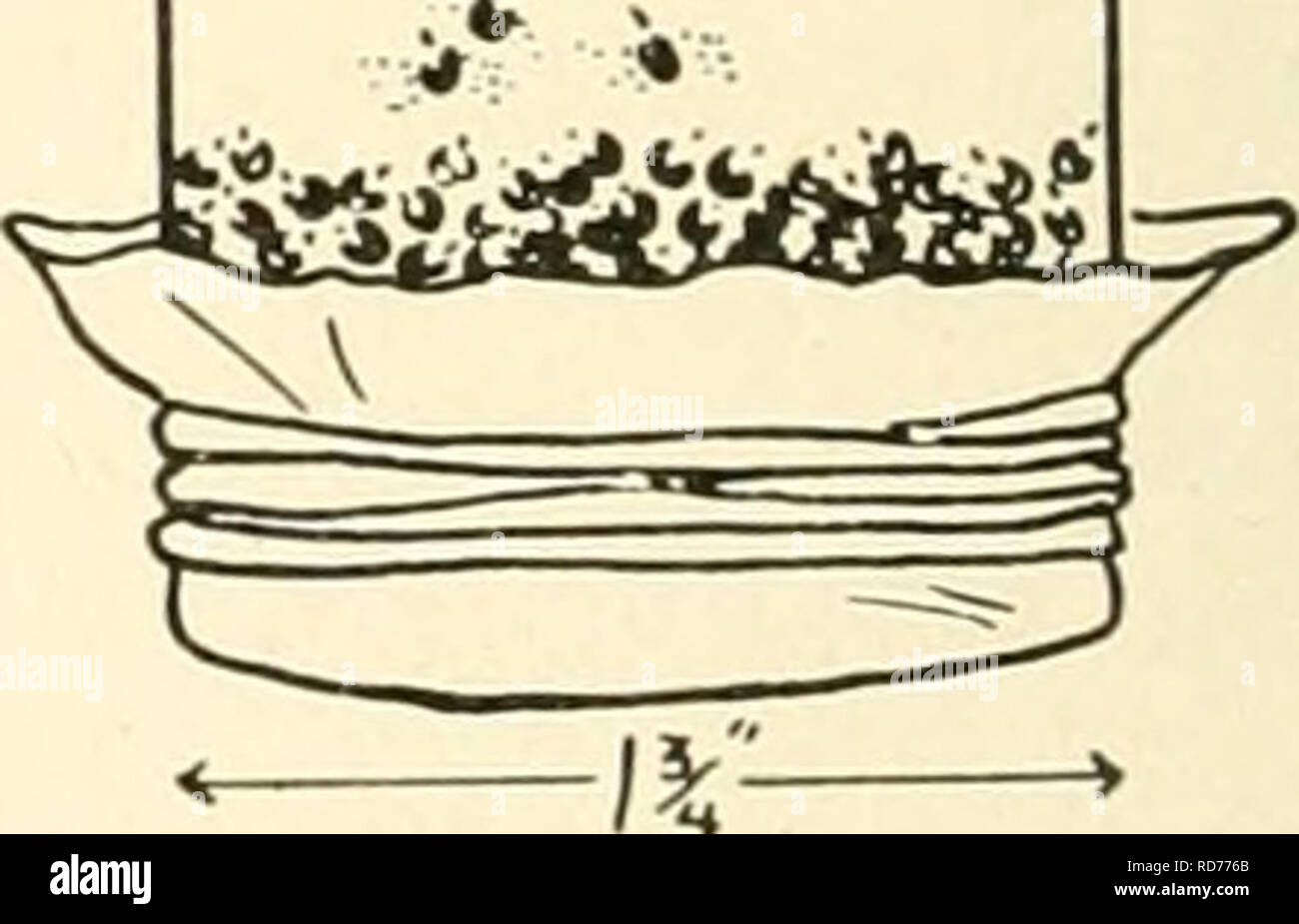 . Culture methods for invertebrate animals;. Invertebrates -- Cultures ...