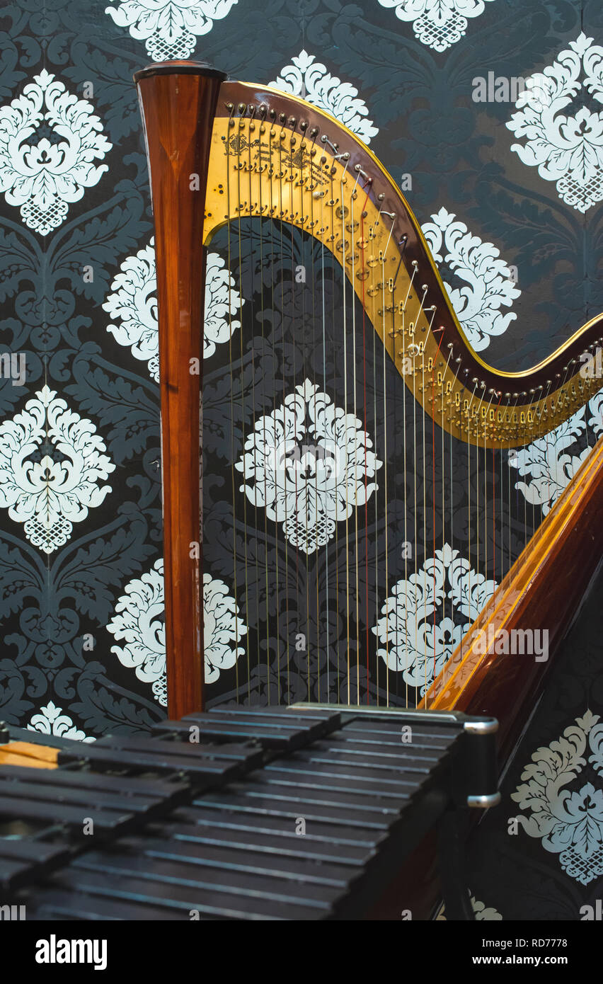 Harp and Musical instruments. Dark victorian style background ...