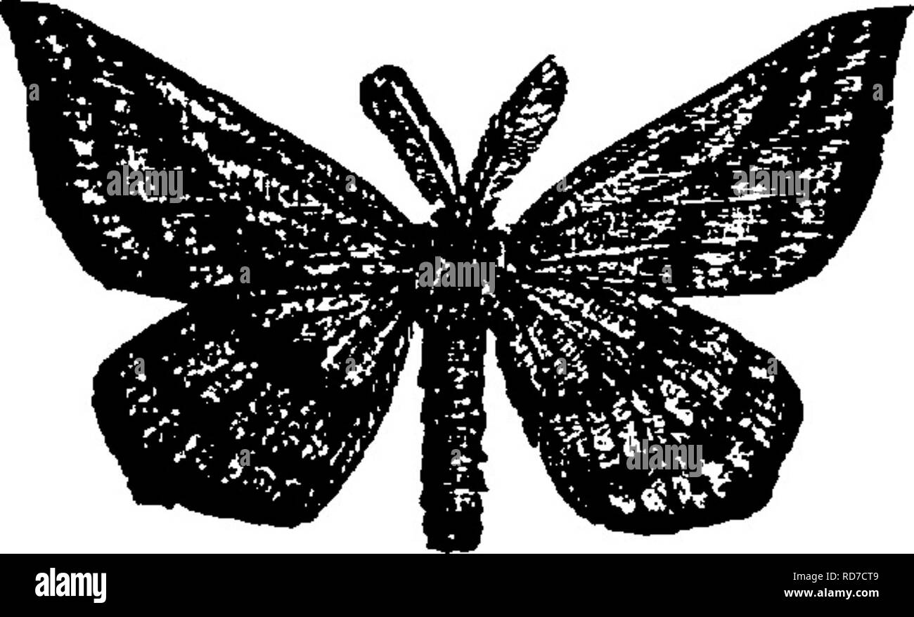 Members of pis hi-res stock photography and images - Alamy