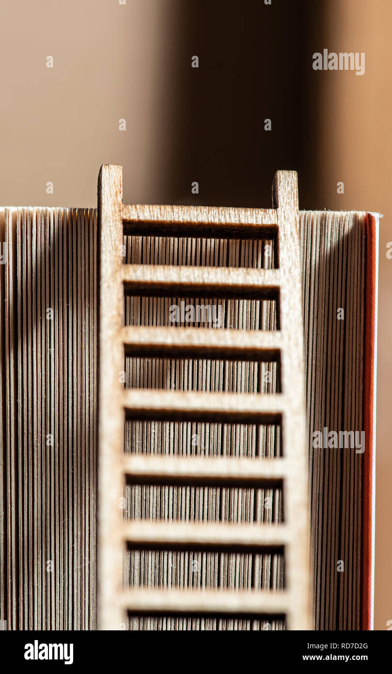 Book pages and ladder. Concept with ladder on book for education and ...