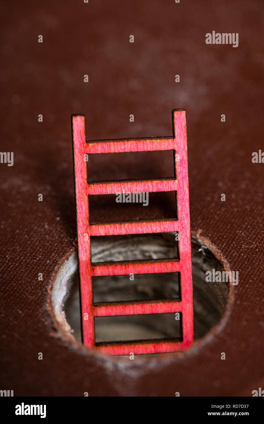 Stacked books and small ladder appear from inside the book. Abstract ...