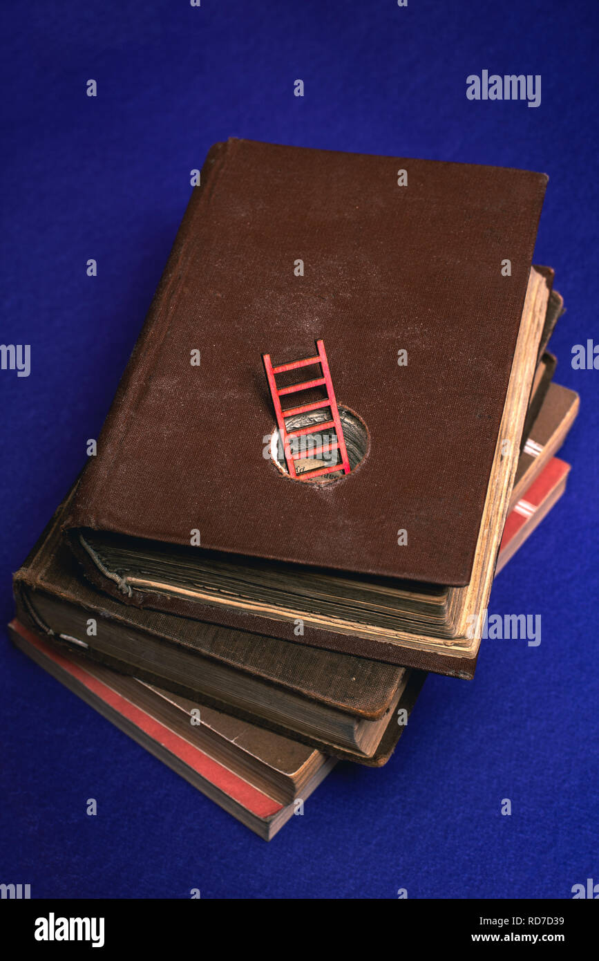 Stacked books and small ladder appear from inside the book. Abstract ...
