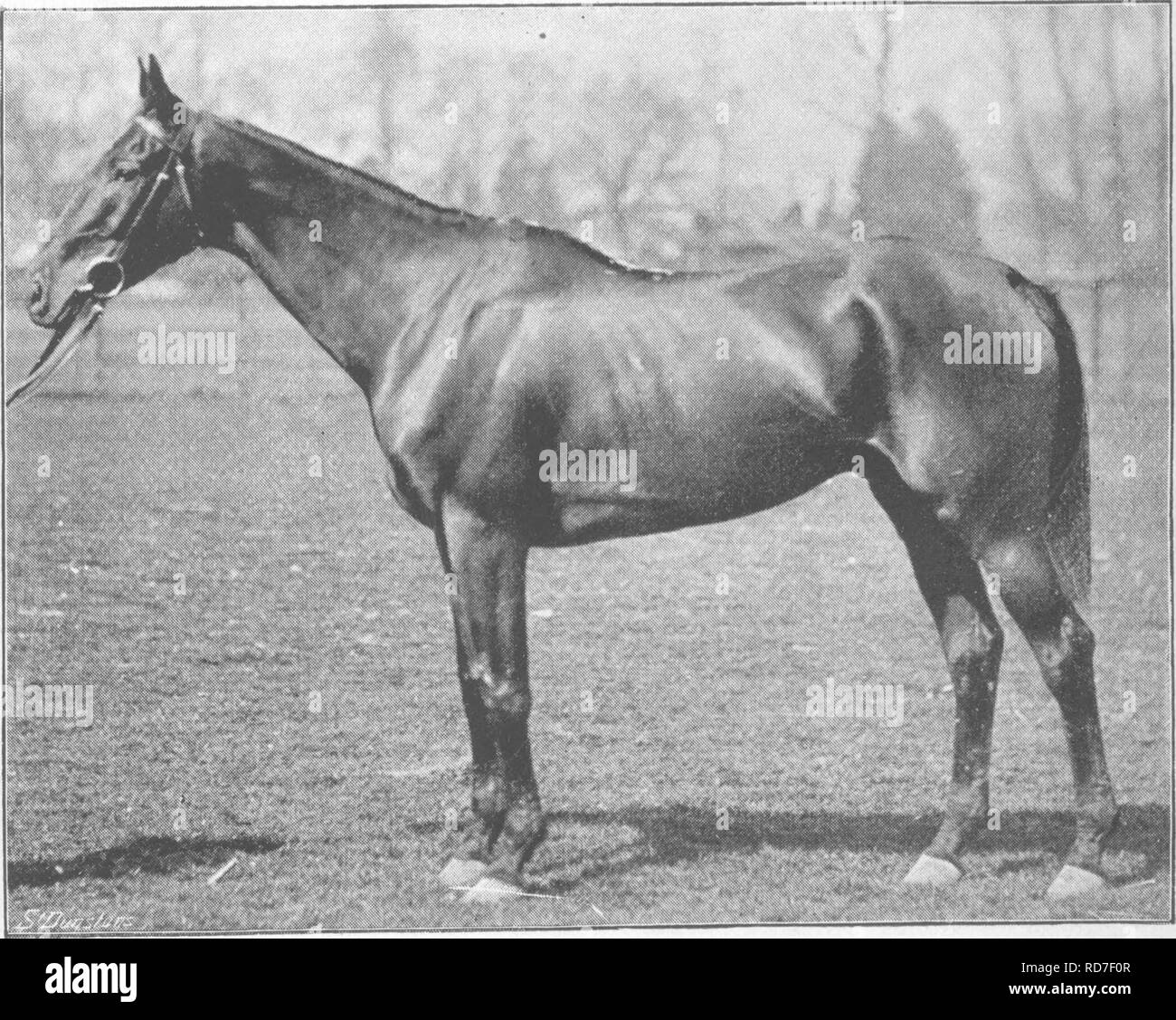 Hailey duke hi-res stock photography and images - Alamy