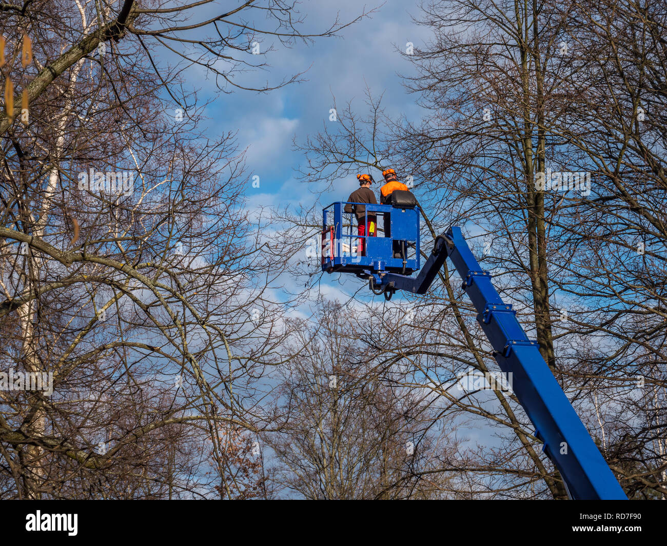 Work platform tree care Stock Photo - Alamy