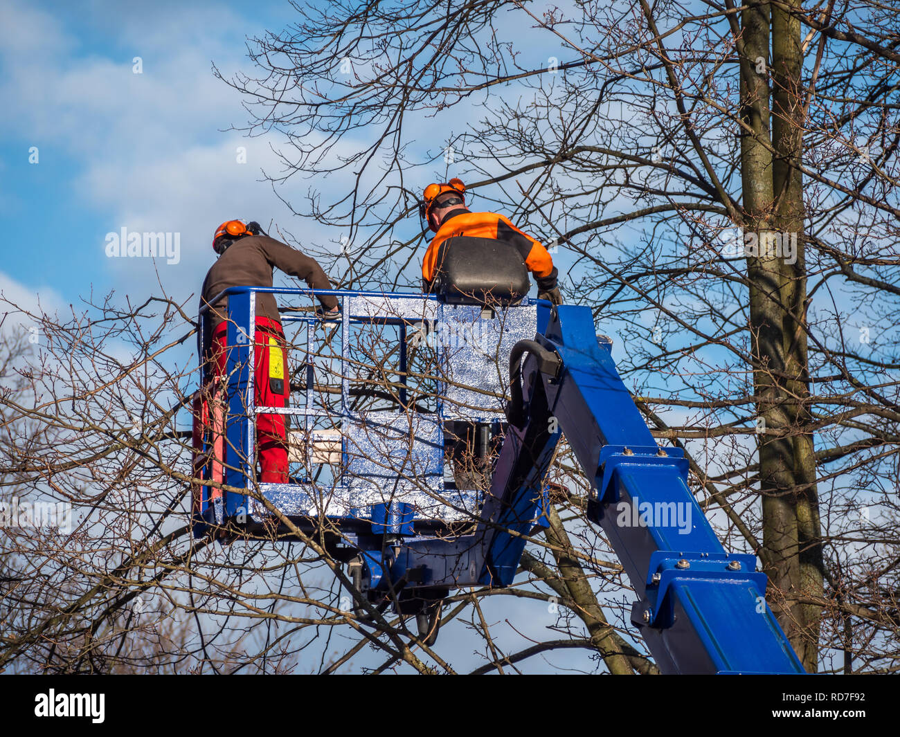 Crown lift tree hi-res stock photography and images - Alamy