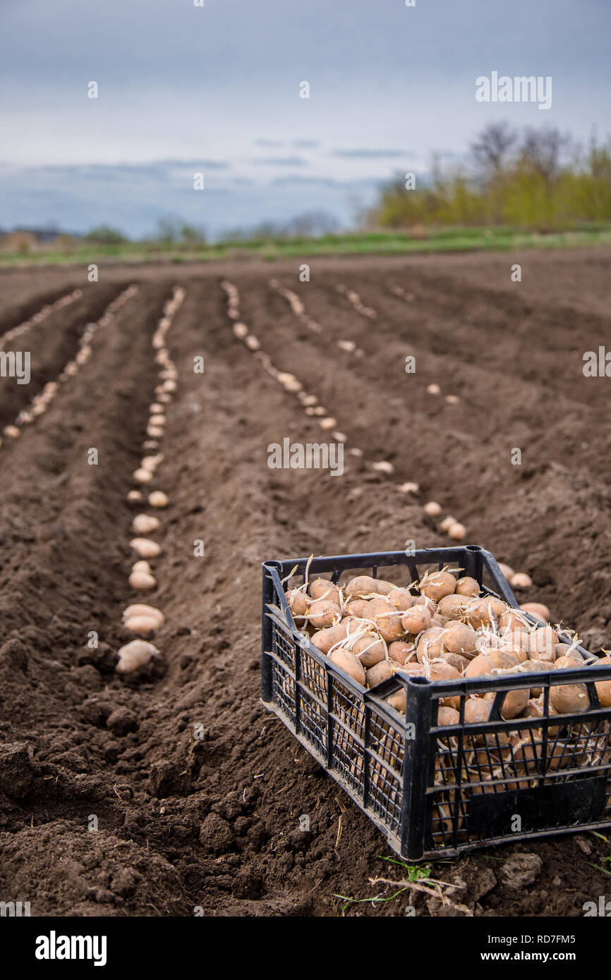 Workpeople hi-res stock photography and images - Alamy