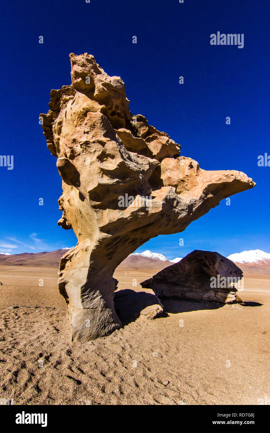 Arbol de Piedra a stone with the form of a tree at Siloli Desert on the ...