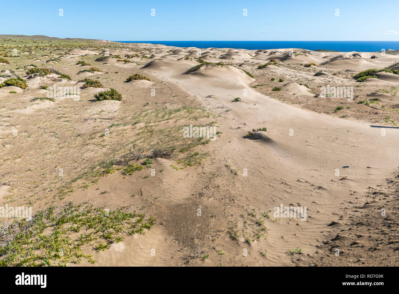 Sand dunes going to the Pacific Ocean in the coast desert at Atacama ...