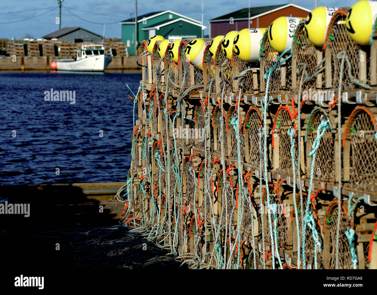 Lobster Fishing Prince Edward Island at Corrina Davis blog