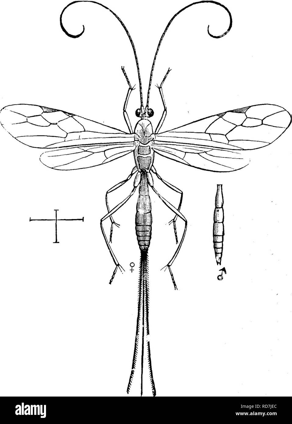 Half br Black and White Stock Photos & Images - Alamy