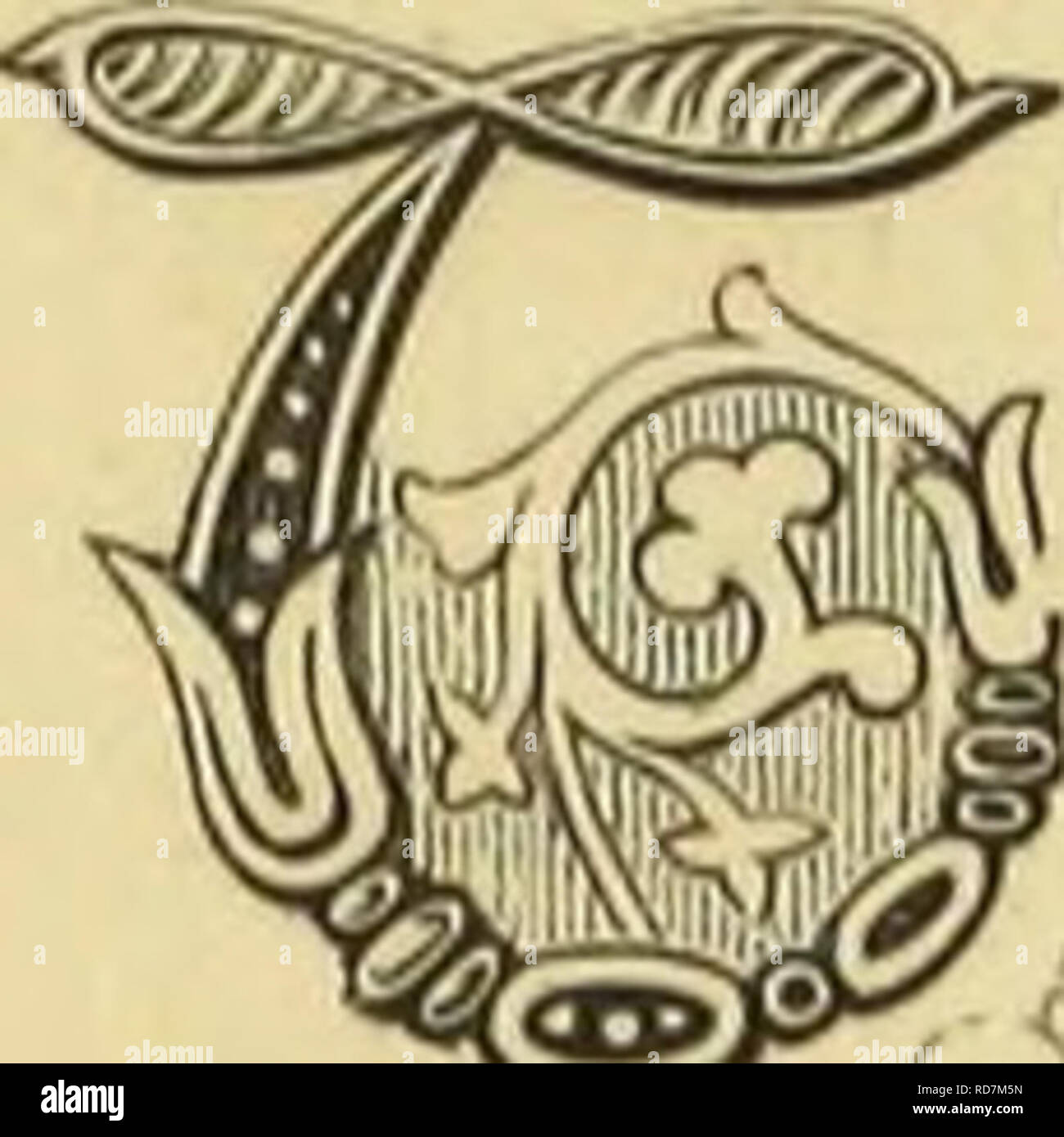 . The butterfly vivarium; or, Insect home: being an account of a new ...